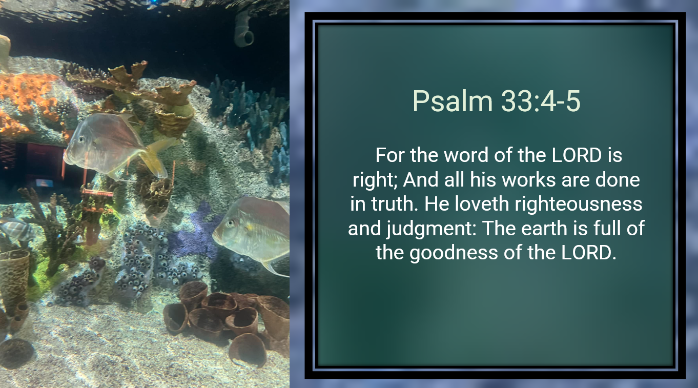 THE EARTH IS FULL OF THE GOODNESS OF THE LORD. – DIGGING A WELL MINISTRIES